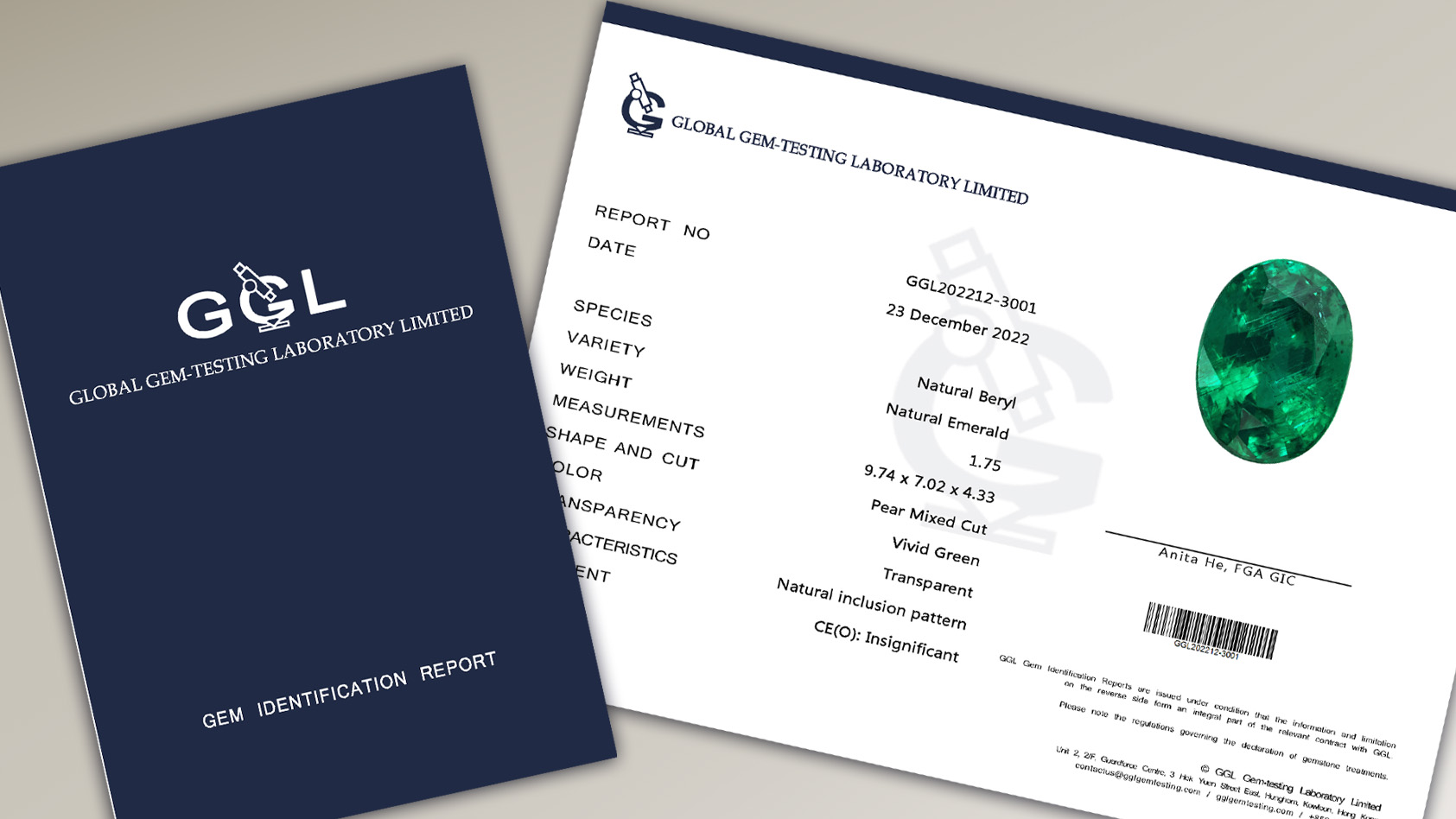 Services - Global Gem Lab